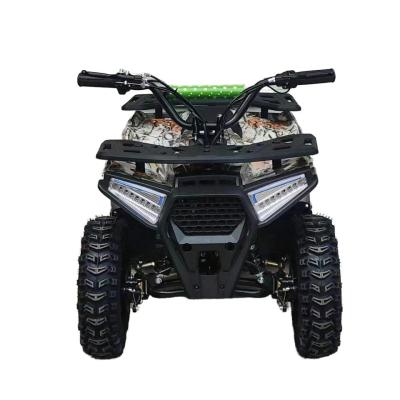 China Powerful 125cc Gasoline Adult ATV Quad Bike with 12V Voltage and Curb Weight of 100-200kg à venda