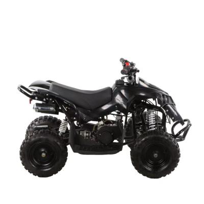 Cina 1000W Gas ATV Automatic 4-Wheeler Moto Quad Bike Off-Road 3.0-4 Tire Size with Offer in vendita