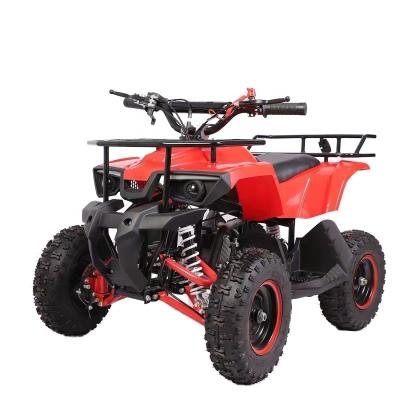 Cina Mini 50cc Gas Powered Kids ATV 4-Wheeler Quad Bike Motorbikes with Curb Weight ≤100kg in vendita