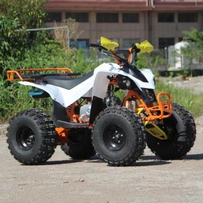 China 150cc 200CC 250CC Automatic Transmission Four-Wheel Off-Road Quad Bike ATV for Mountain for sale