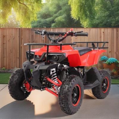 中国 49CC Mini Quad with Low Fuel Consumption Maximum Torque Nm ≤20Nm Fuel Gas / Diesel 販売のため