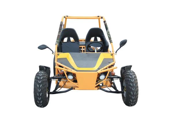 Quality Adult Outdoor Drive Go Kart with 200cc Engine Maximum Torque ≤20Nm and Safety for sale