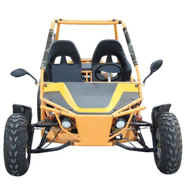 Quality 200cc GY6 Engine Go Kart with CE Certificate and Minimum Ground Clearance of 250-300mm for sale