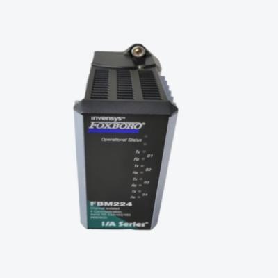 Cina FOXBORO P0916NG DCS TERMINATION ASSEMBLY MODULE in vendita