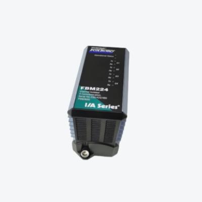 Cina FOXBORO RH916FJ CABLE TERMINATION MODULE in vendita