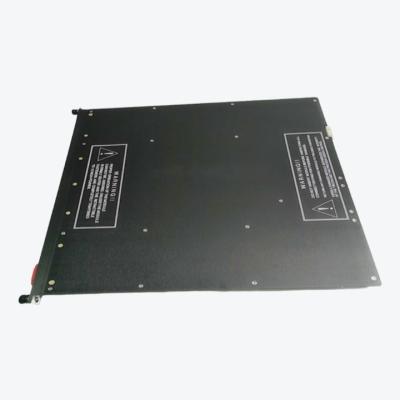 China MÓDULO ANÁLOGO DE LA TERMINACIÓN DE LA ENTRADA-SALIDA DE TRICONEX 9762-410 TRICON en venta