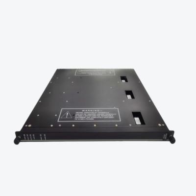 Cina Imballaggio originale Triconex DCS System 9789-610 Analog Input Panel in vendita