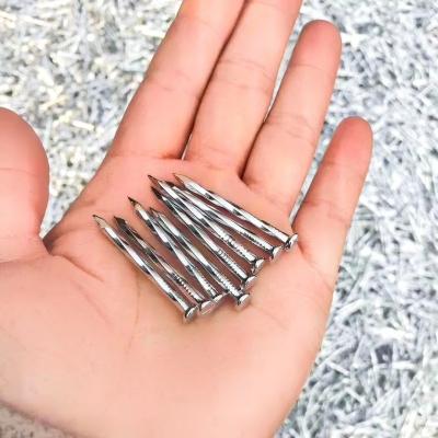Quality Customized Small Electro Galvanized Nails Steel Concrete Nail for sale