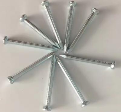 Cina Concreto 1 pollice - 6 pollici chiodi in acciaio Galvanizzato Superficie personalizzata in vendita
