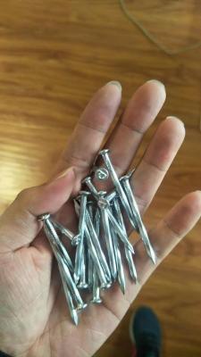 China OEM / ODM Hoekige spiraalconcrete nagels Carbon Steel Box verpakking Te koop