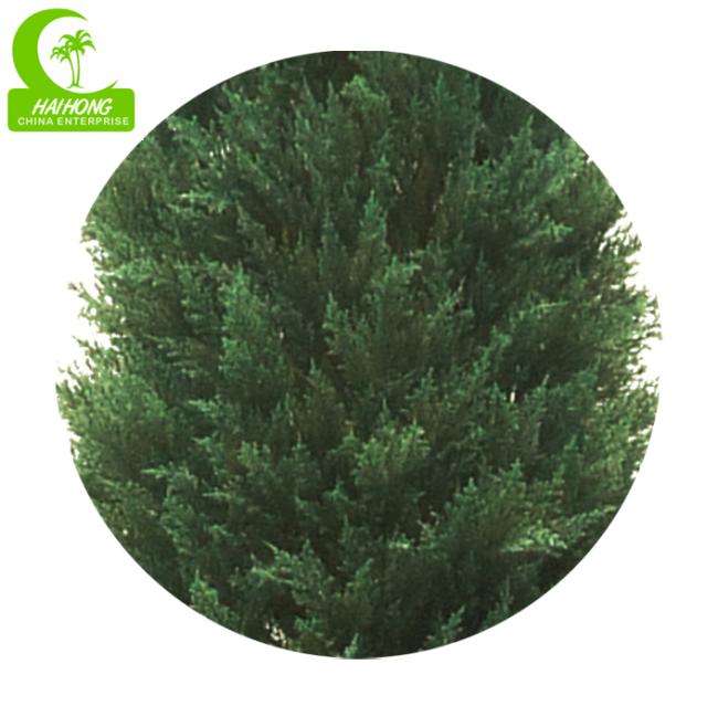 alberi artificiali dell'ars topiaria