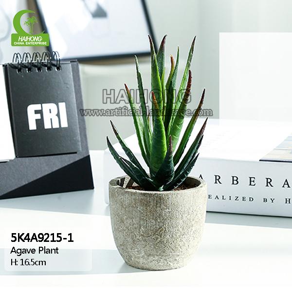 artificial succulent plants