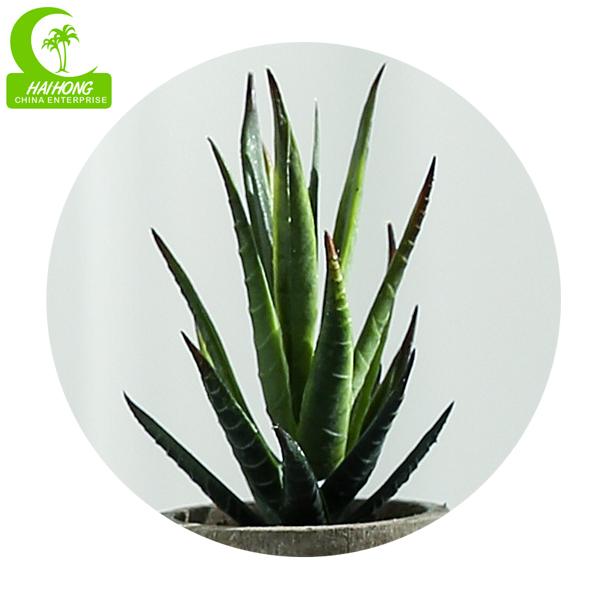 artificial succulent plants