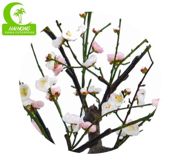 CHERRY BLOSSOM TREE
