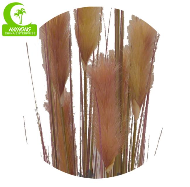 Good value wholesale 165cm Artificial Onion Grass Plant with pot