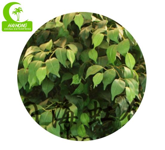 artificial ficus tree