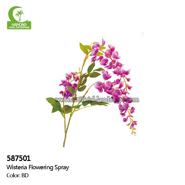 Wisteria Flowering Spray