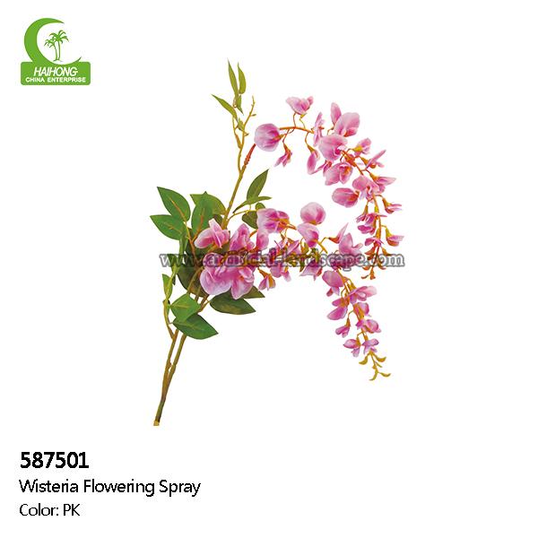 Wisteria Flowering Spray