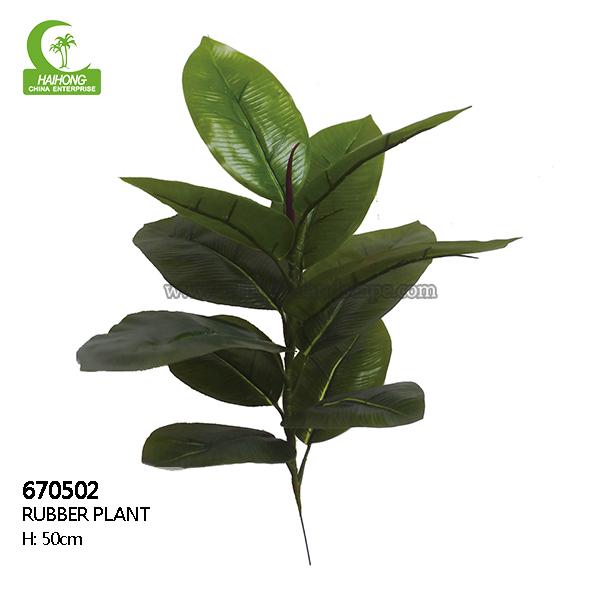 artificial rubber plant