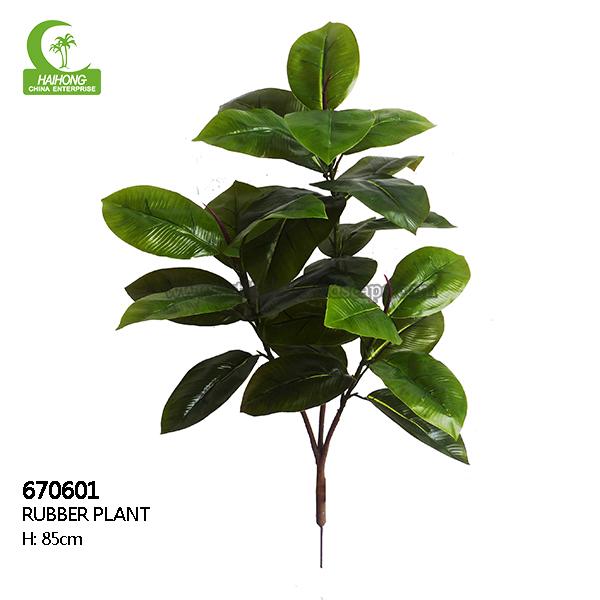 artificial rubber plant