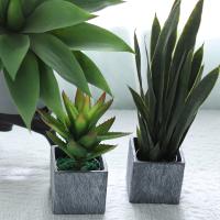 China Custom Real Touch Mini Artificial Succulent Plant 35cm With Pot  Decor for sale