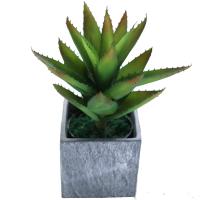 China Custom Real Touch Mini Artificial Succulent Plant 35cm With Pot  Decor for sale