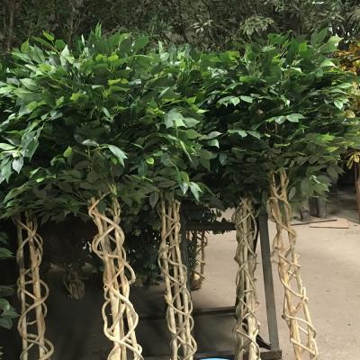 China Binnen de Opslag Kunstmatige Potting van het Bureauhotel van de de Ficusboom van Banyan de Groothandelsprijsfabriek voor Winkelcomplex Te koop