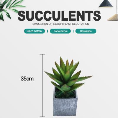 China Künstliche Anlagensucculents-PlastikHochzeits-Innendekoratives zu verkaufen