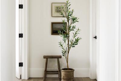 China Olive Tree Rain Forest Style Artificial PE Bonsai 165cm Green Fire Retardant for sale