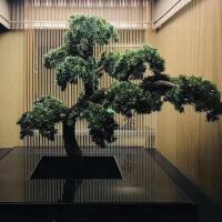 China Customizable Landscape Artificial Green Pine Tree For Bathroom for sale