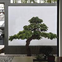 China Customizable Landscape Artificial Green Pine Tree For Bathroom for sale