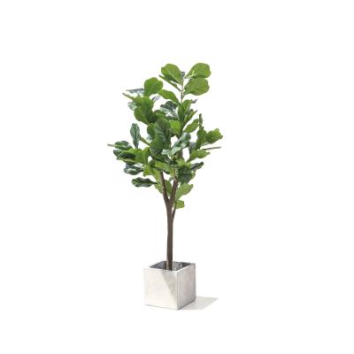 China 120cm 160cm Artificial Ficus Lyrata House Floor Plants Evergreen Refreshing Plants zu verkaufen