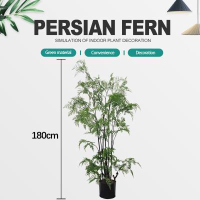 China Resistência do vento dos bonsais 450cm das plantas de Fern Small Artificial Potted Floor do falso à venda