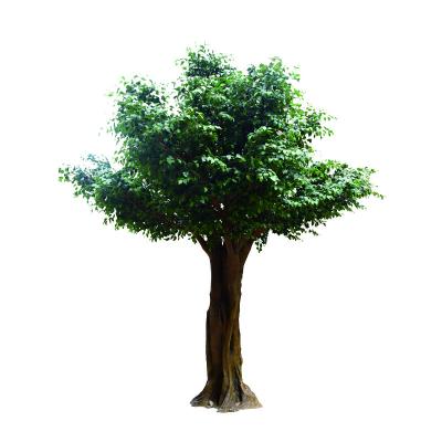 China 1000cm de Boom Grote Ficus van Hoogte Kunstmatige Banyan voor OpenluchtPretpark Te koop