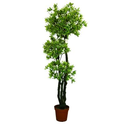 Cina Pianta verde 1.6m del Podocarpus del balcone del ristorante del Faux artificiale dell'albero nessuna professione d'infermiera in vendita
