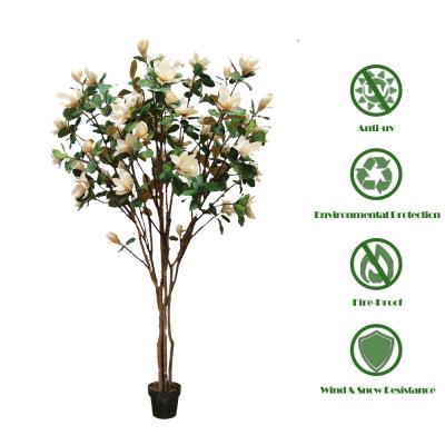 China 210cm Artificial Magnolia Tree For House Office Long Lasting Evergreen Plants for sale