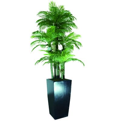中国 ODM Artificial Landscape Trees Feather Palm Detailed Natural Leaves Indoor Decor 販売のため