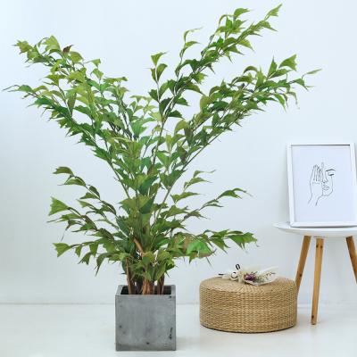 Cina decorazione dell'interno del paesaggio di 170cm della pianta a coda di pesce artificiale degli alberi nessun'innaffiatura in vendita