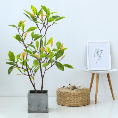 China 80cm Artificial Landscape Trees With Black Pot Preserved Moss Consise Style Green Yellow Leaves for sale