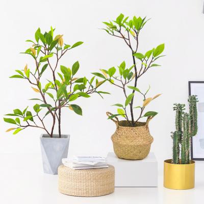 China 80cm Artificial Landscape Trees With Black Pot Preserved Moss Consise Style Green Yellow Leaves for sale
