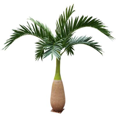 China Kundenspezifische Höhen-künstliche Flaschen-Palme Landscpae-Regenwald-Freizeitpark Faux-Anlage im Freien zu verkaufen