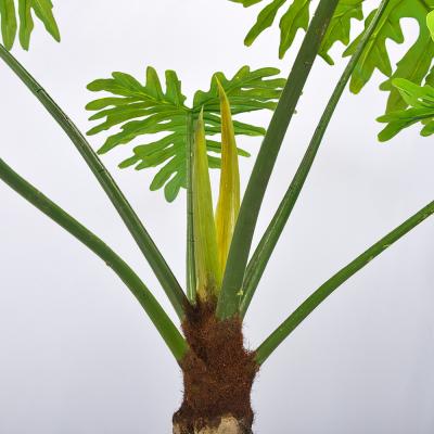 China Planta natural durable del piso de la L-forma de la fractura de Philo el 170cm del jardín de la decoración artificial de la oficina ningún riego en venta