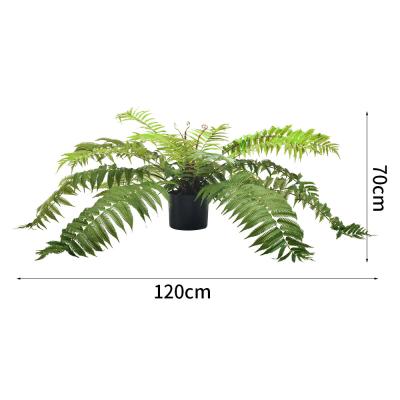 Cina Piante conservate in vaso artificiali all'aperto Fern Tree For Garden Decoration del pavimento dell'alta prova uv in vendita