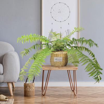 Cina Piante conservate in vaso artificiali all'aperto Fern Tree For Garden Decoration del pavimento dell'alta prova uv in vendita