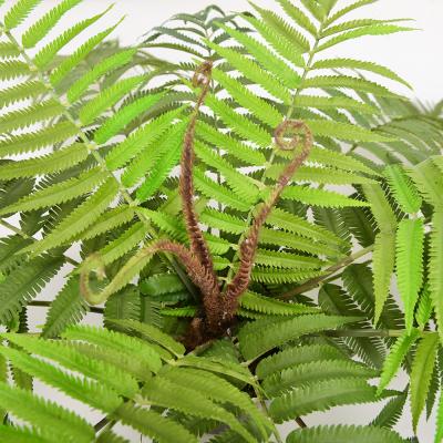 Cina Piante conservate in vaso artificiali all'aperto Fern Tree For Garden Decoration del pavimento dell'alta prova uv in vendita