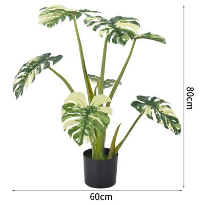 China Manutenção não de nutrição em pasta artificial interna da planta da decoração artificial da casa da planta do assoalho de Monstera 80cm baixa à venda