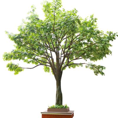China Bespoke Large Fake Ficus Tree Custom Height Foliage Tree 2-20m Evergreen Plant for sale