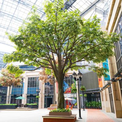 China Bespoke Large Fake Ficus Tree Custom Height Foliage Tree 2-20m Evergreen Plant for sale