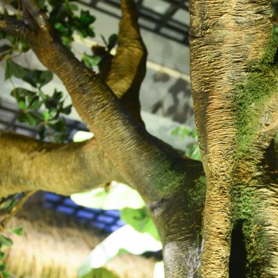 Cina Sbiadirsi di vetro degli alberi artificiali del paesaggio del tronco della fibra anti per il patio in vendita