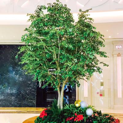 China Mirada natural de los ficus del estilo de B del árbol de la altura del centro comercial del árbol de encargo artificial grande del follaje en venta